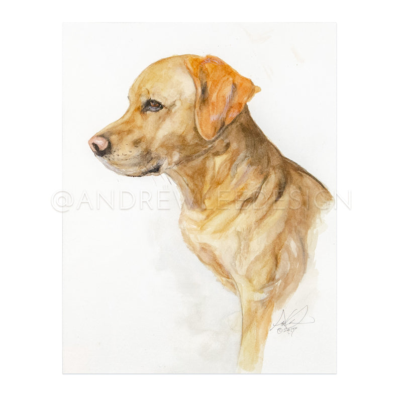 Yellow Lab Profile Portrait, 11x14" - Andrew Lee Design