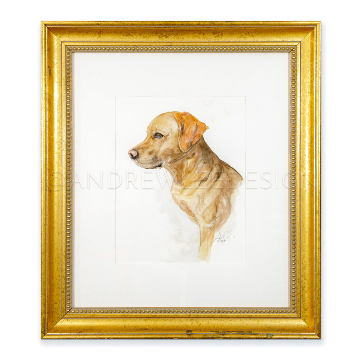 Yellow Lab Profile Portrait, 11x14" - Andrew Lee Design