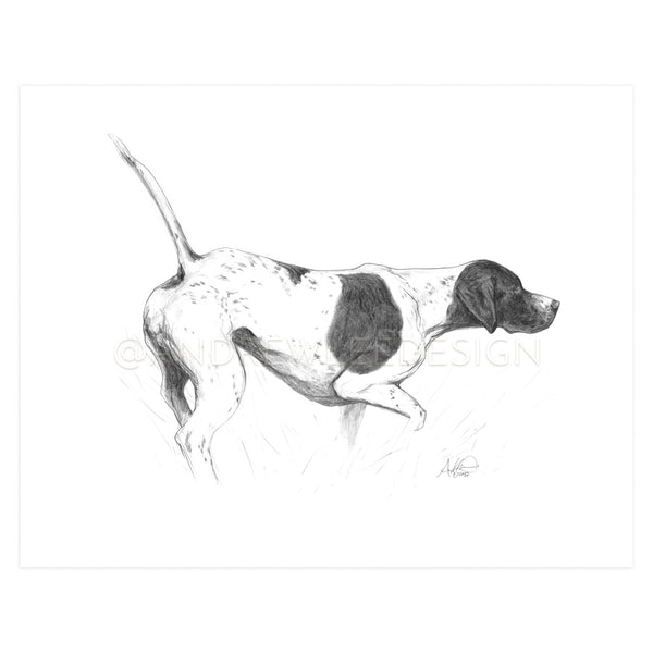 English Pointer in Pencil, 11x14" Print - Andrew Lee Design