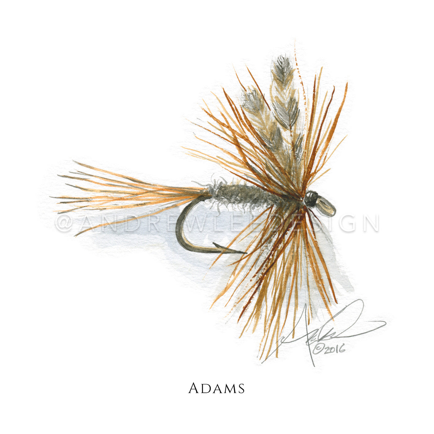 Fly Hares Ear Nymph Pattern Andrew Lee Design 0848
