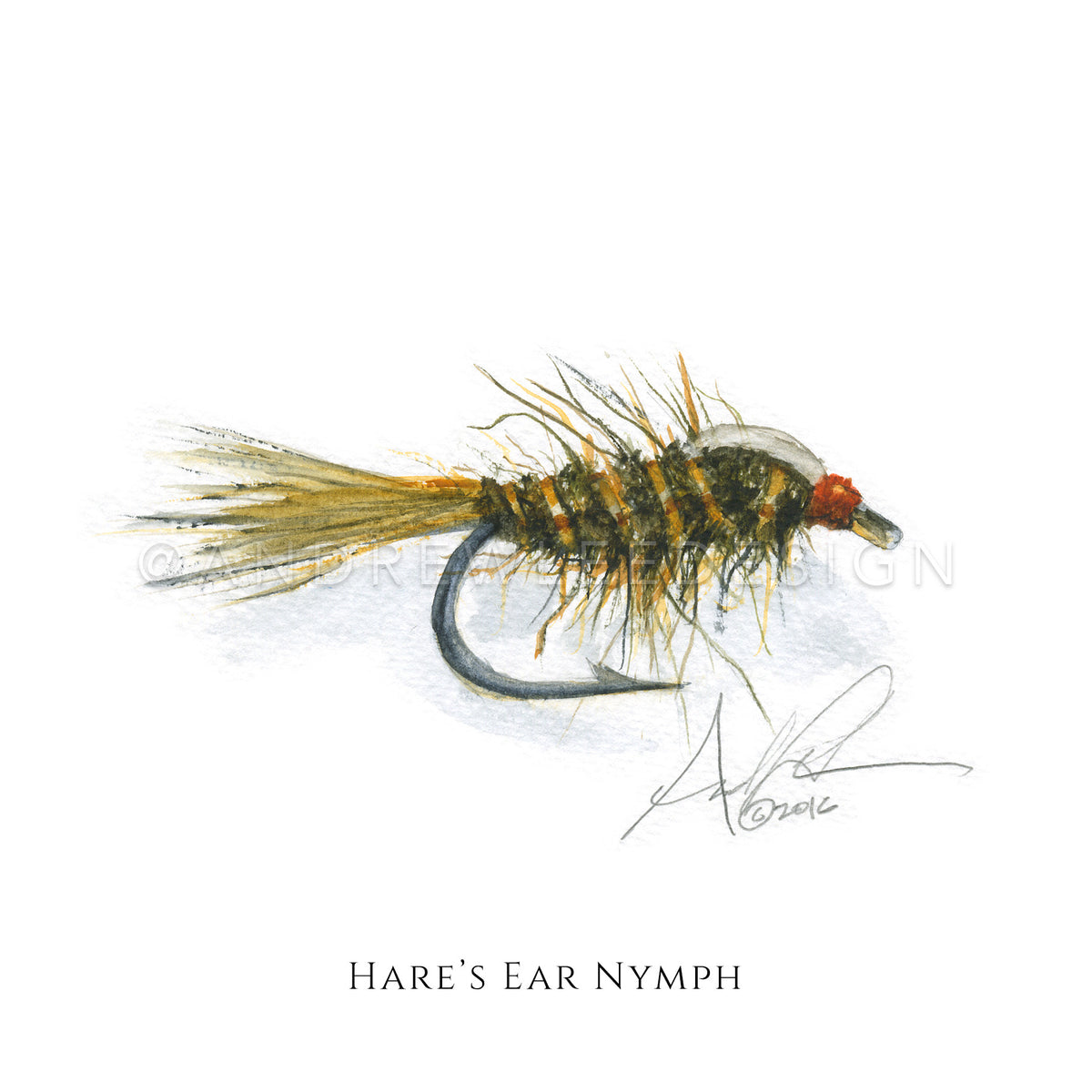 Fly - Hare's Ear Nymph Pattern - Andrew Lee Design