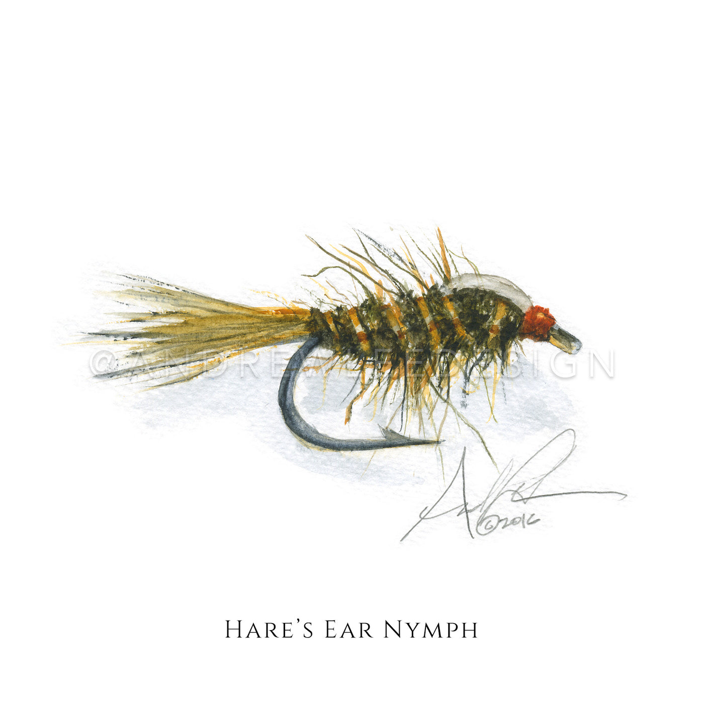 Fly - Pheasant Tail Nymph Pattern - Andrew Lee Design