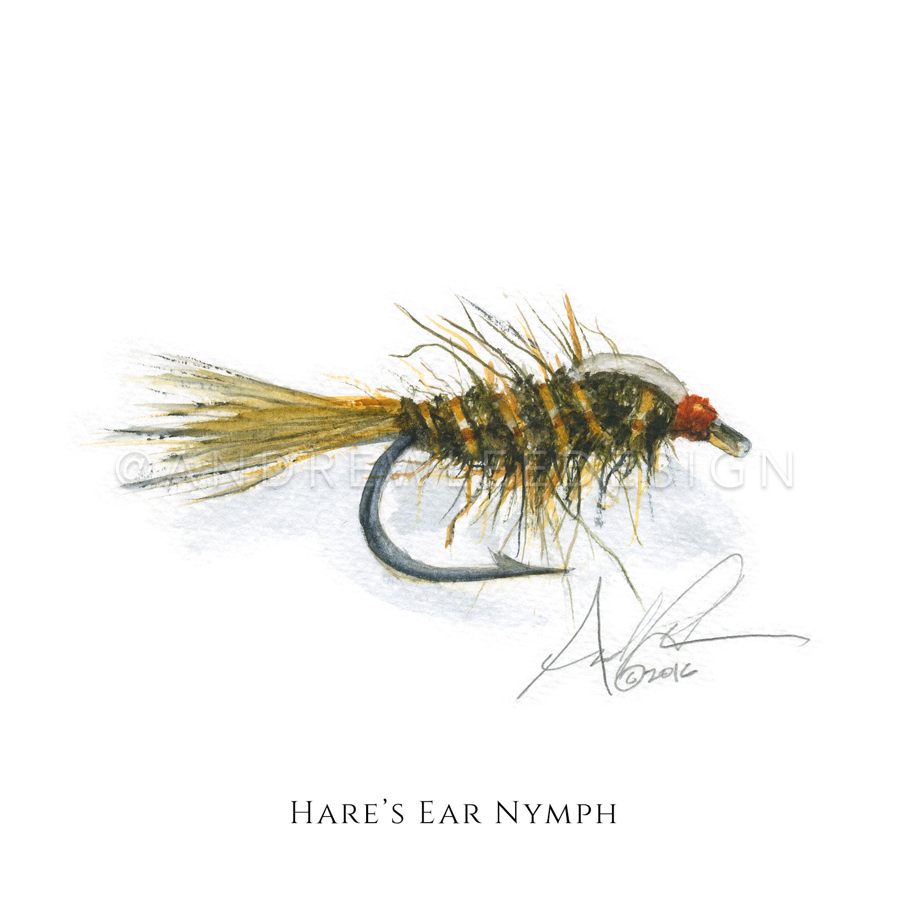 Fly - Pheasant Tail Nymph Pattern - Andrew Lee Design